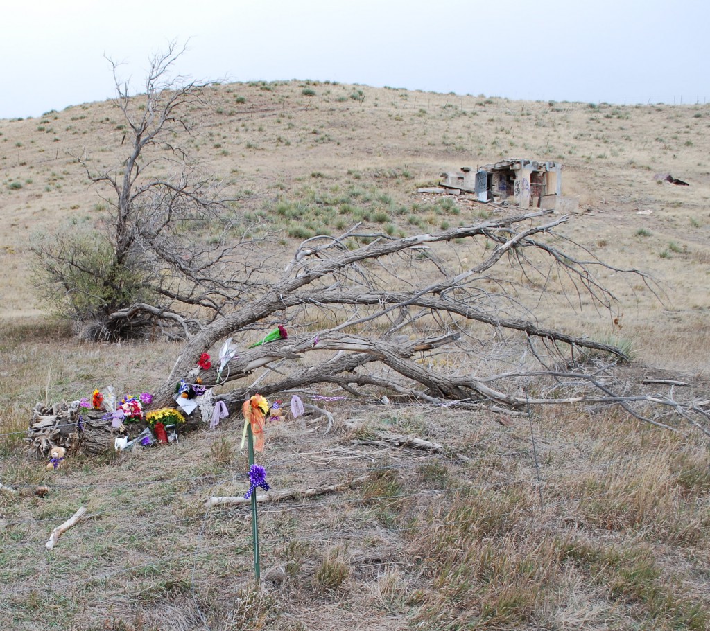 Jessica Ridgeway: Killer’s ‘awareness space’ may lead to clues ...