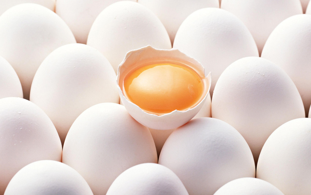 Unscrambling egg myths - Boulder Weekly