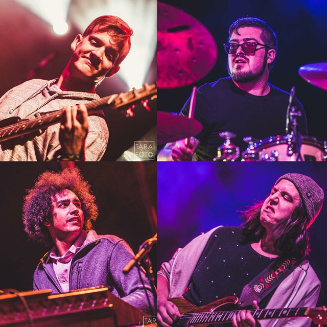Magic Beans: Meet bass player Chris Duffy - Boulder Weekly